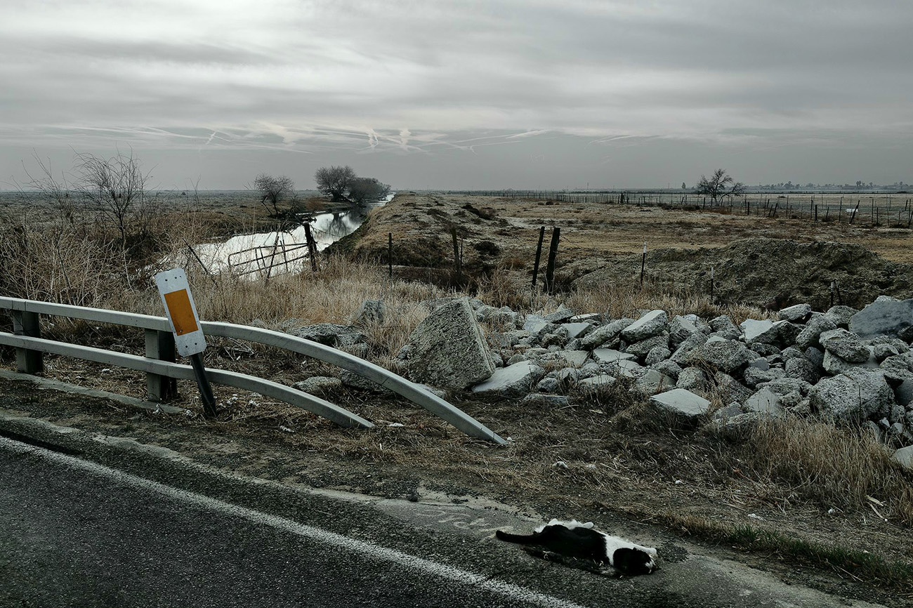 'Home Fires' is where photographer Bruce Haley's head is | THE MUNRO REVIEW