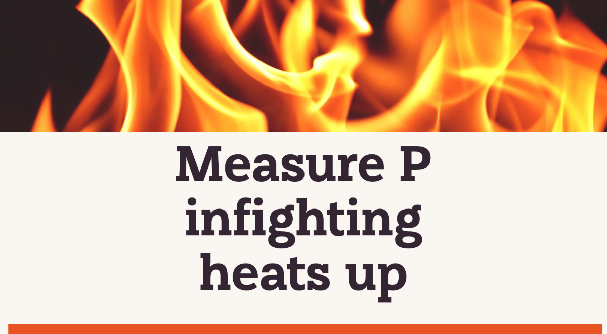 2 arts supporters bounced from Measure P commission