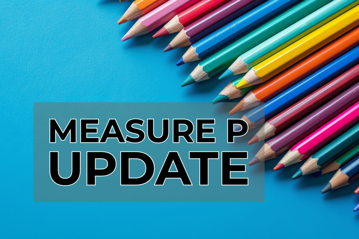 Measure P arts grants for 2025 put in peril after key vote set for ...